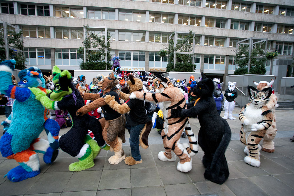 It’s a furtastic feeling, it’s Friday and the furs are fully funded ...